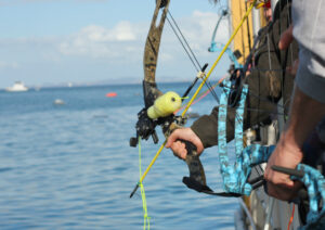 Fishing – Archery Direct